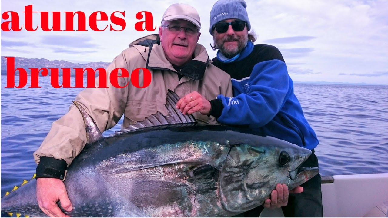 chumming giant tuna , Géant thon au brumée, pesca de atunes a brumeo ...