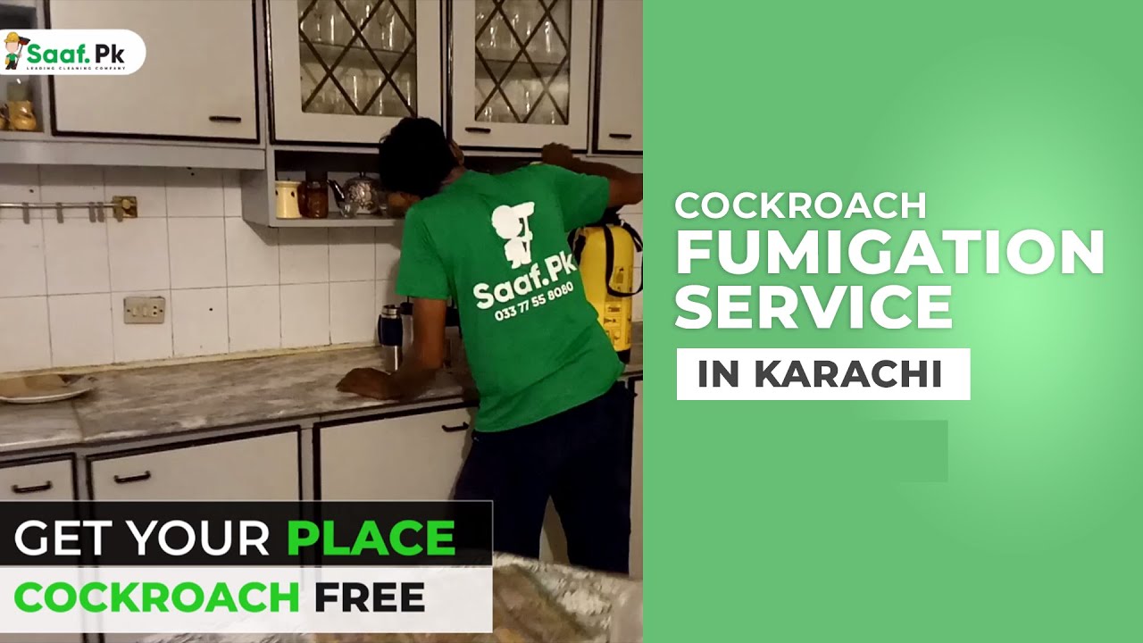 Cockroach Fumigation in Karachi - Best Treatment by Saaf.Pk - YouTube
