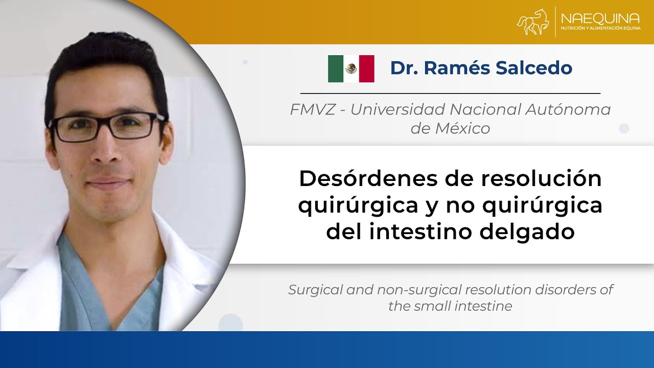 Desórdenes de resolución quirúrgica y no quirúrgica del intestino ...
