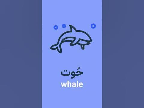 Sea Creatures 🐋 - Learn Arabic Vocabulary - YouTube