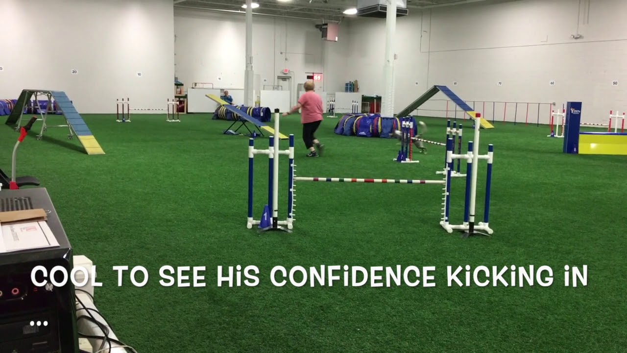 Y2K9 UKI Highlights Aug 2019 - YouTube