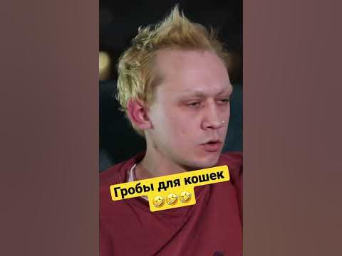 Гробы для кошек. Ургант - YouTube