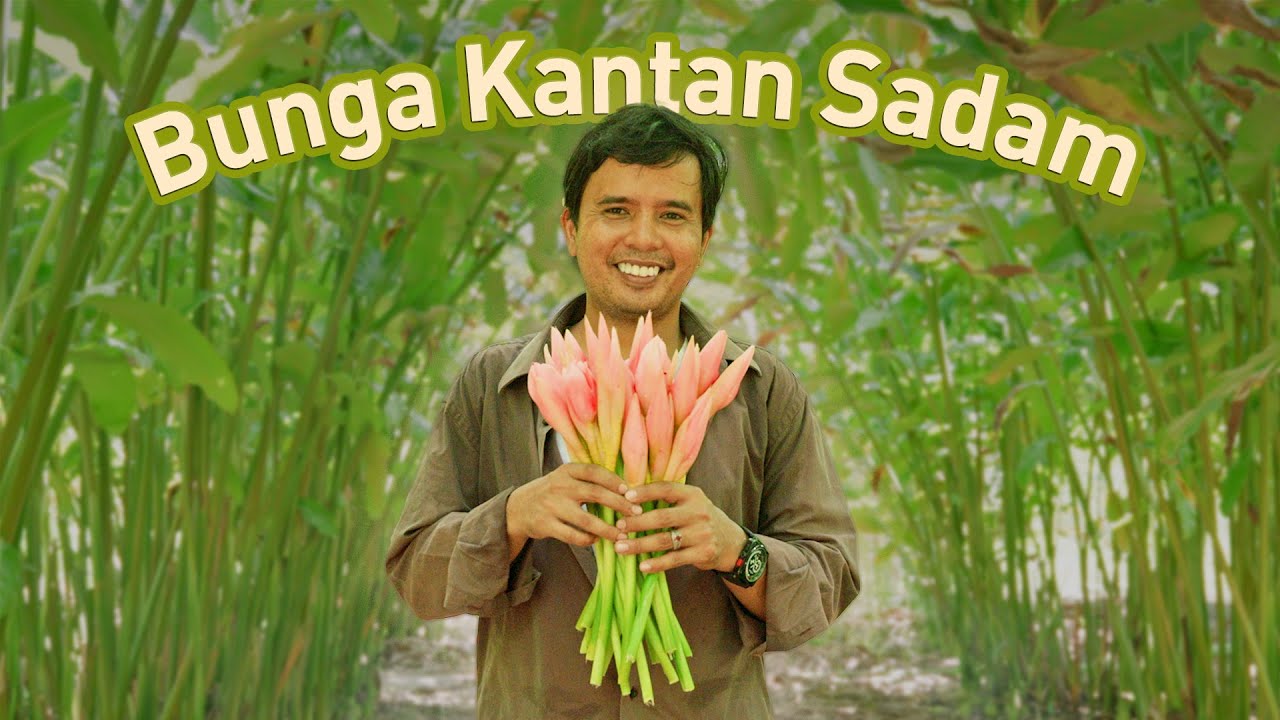 Tukar Tanah SAMPAH Jadi Syurga Kantan! | Ladang Kantan Bangi - YouTube