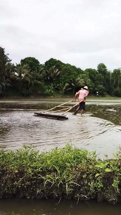 Hirap at pagod ang trabaho naming magsasaka,kinakaya para sa pamilya at sa bayan.#shorts # ...