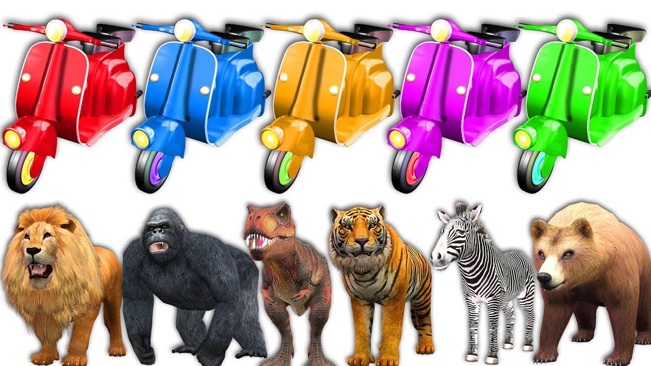 Learn Colors With Scooter Toy Colors Keys For Kids Toddlers - Learn ...