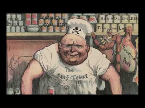 4.2 The Progressive Movement's reforms (US history since 1877) - YouTube