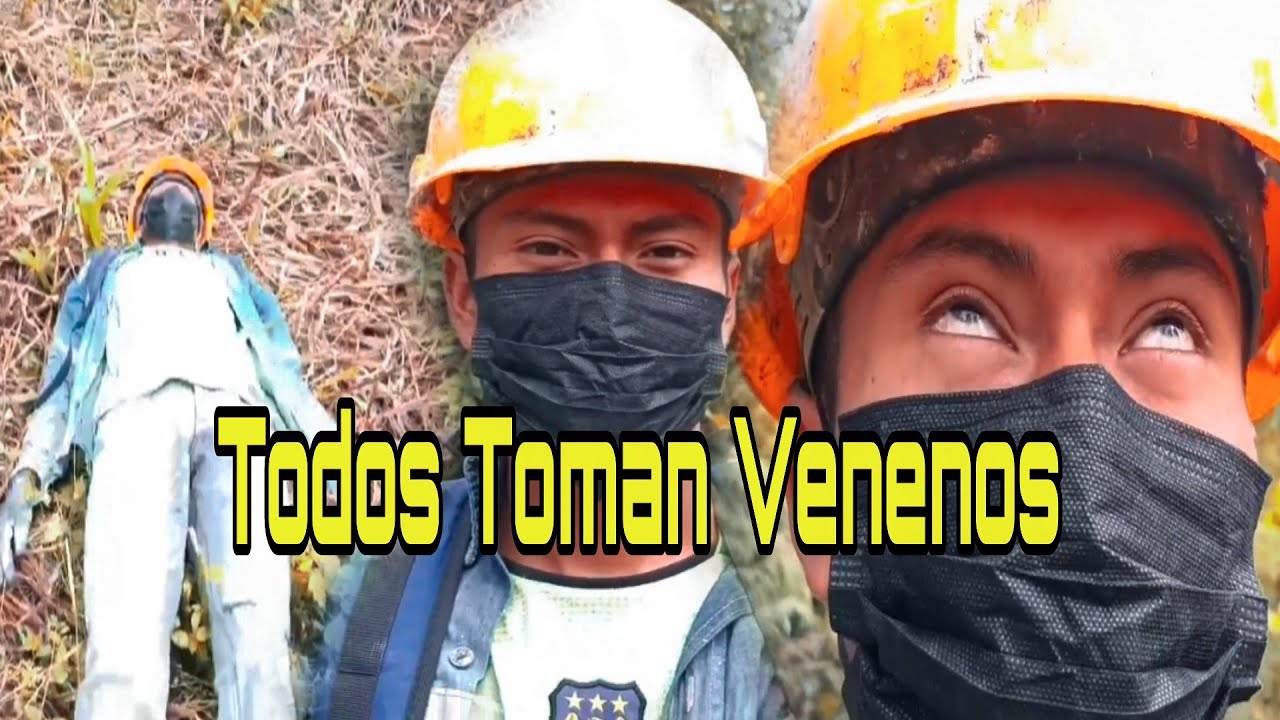 Todos toman Venenos Alex Cea - YouTube