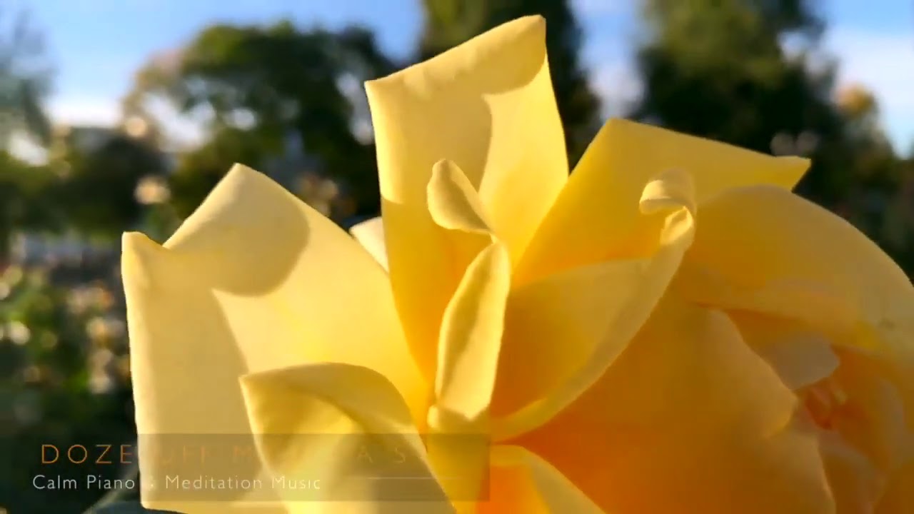 Afslappende klavermusik, musik til stressaflastning, søvnmusik ...
