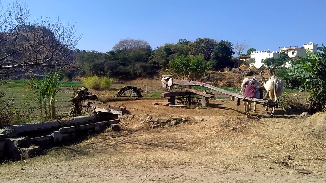 Traditional Irrigation System | Rahat | Village Life in India - YouTube