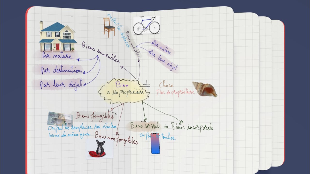 Distinction entre une chose et un bien ; classification des biens en ...
