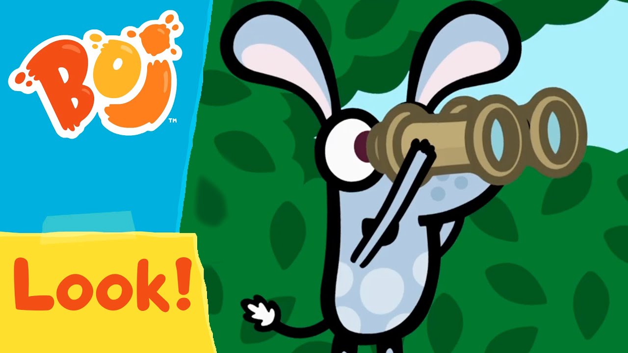 Boj - Fishing and Birdwatching! 🎣 🐦 | Full Episodes | Cartoons for Kids ...