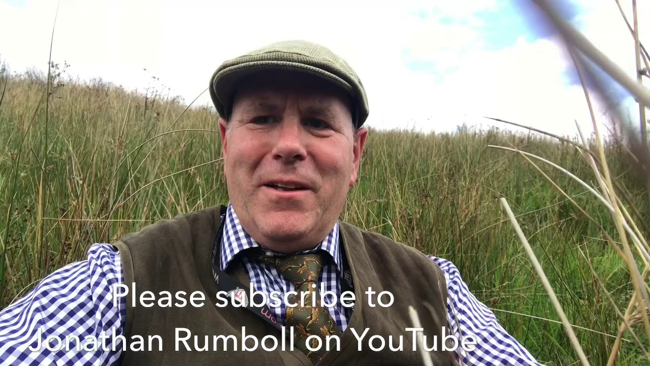 Partridge Shooting 6th September 2018 with Jonathan Rumboll - YouTube