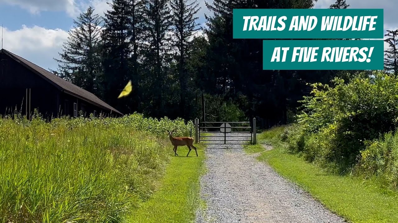 Outdoor Magic at Five Rivers Environmental Education Center - YouTube