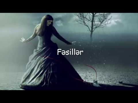 Xaka - Fəsillər
