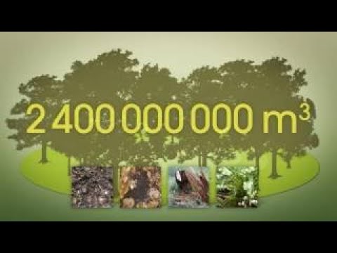 Le dessous des cartes - Histoire des Fôrets : La France - 1/2 - 29 septembre 2012