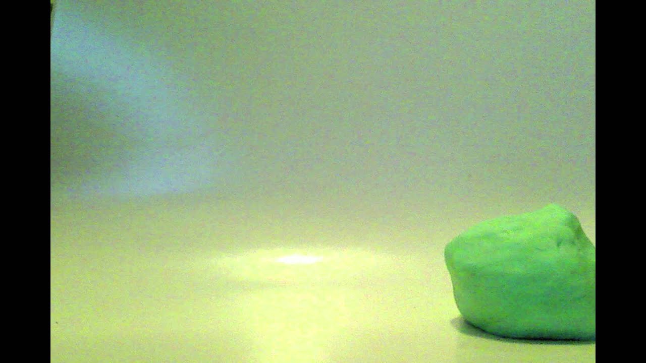 The Food Chain-Claymation - YouTube