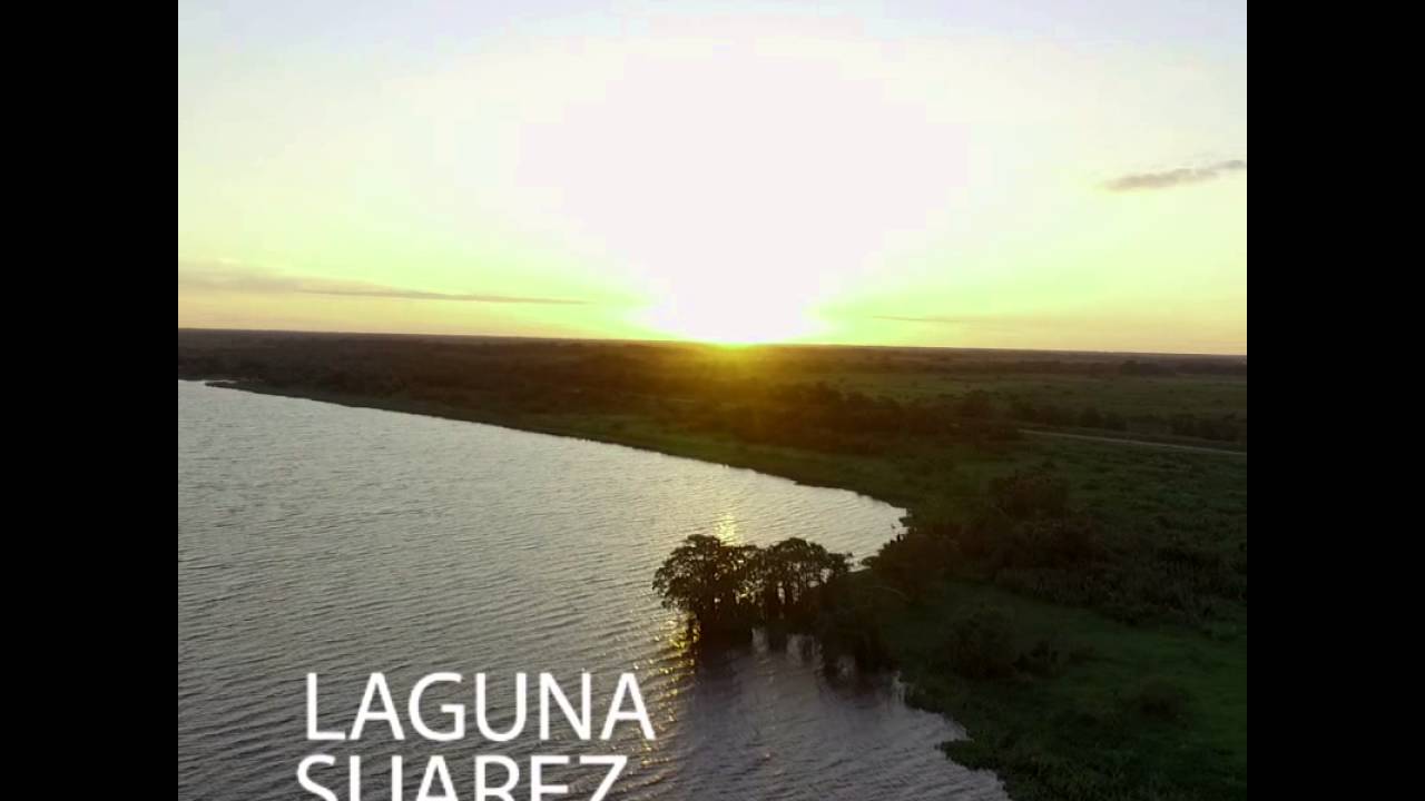 LAGUNA SUAREZ - TRINIDAD - BENI - BOLIVIA - YouTube