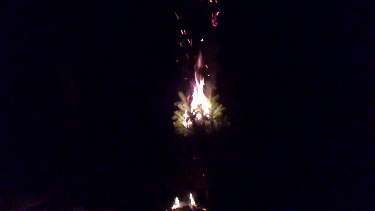 Weihnachtsfrieden ......Advent, Advent der Christbaum brennt ...