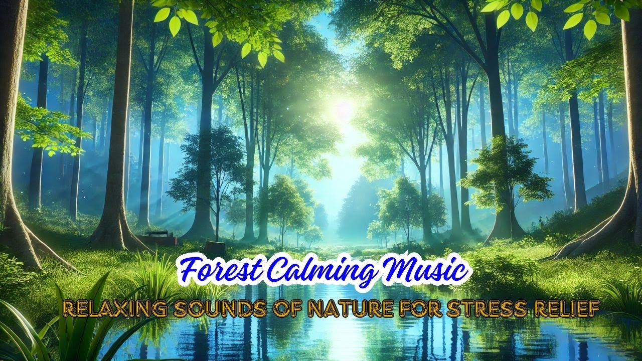 Forest Calming Music Soothing Nature Sounds to Unwind - YouTube