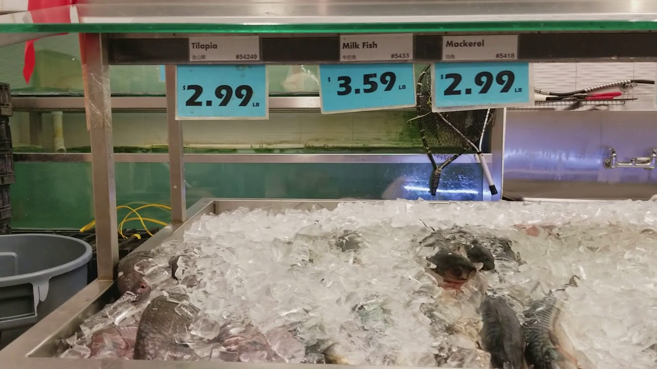 Canada fish market - YouTube