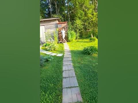 говорящий туалет - YouTube
