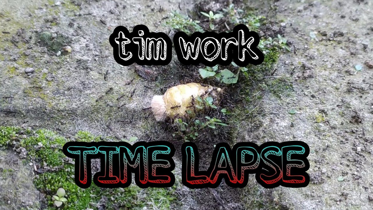 Tim Work | Time Lapse - YouTube