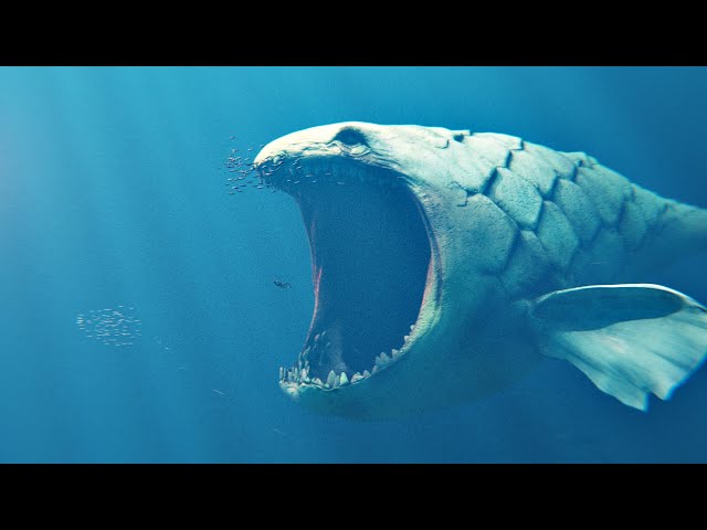 Bloop Real Life Giant Great White Shark Eaten By Sea Monster Mystery