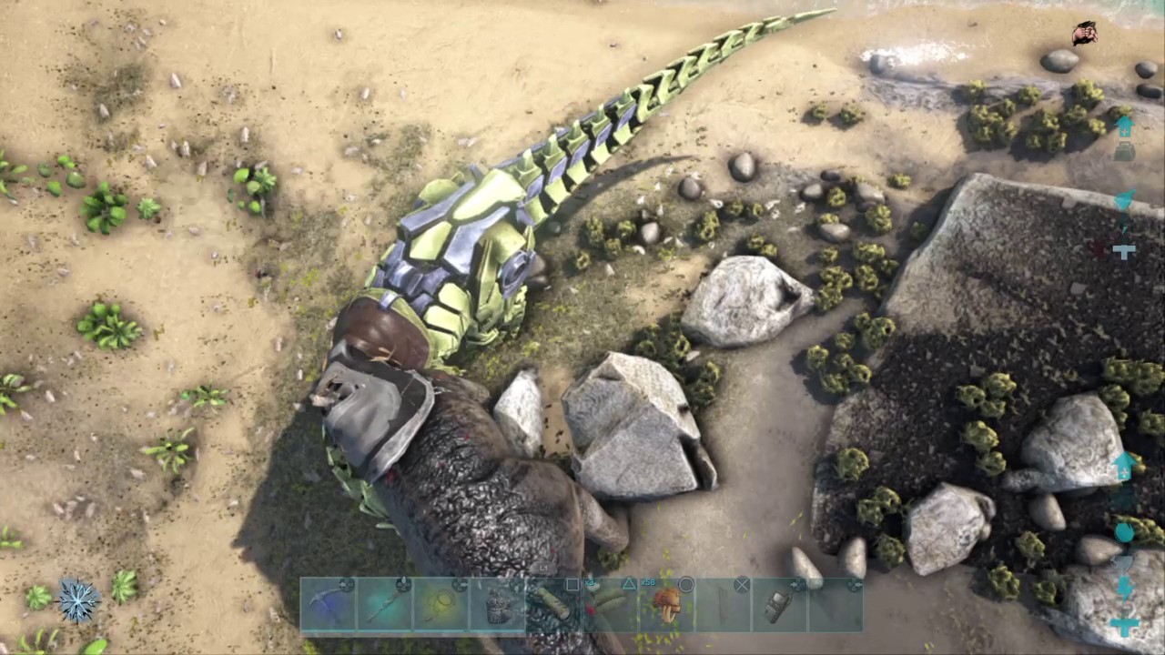 Ark PvE war on official 558 - YouTube