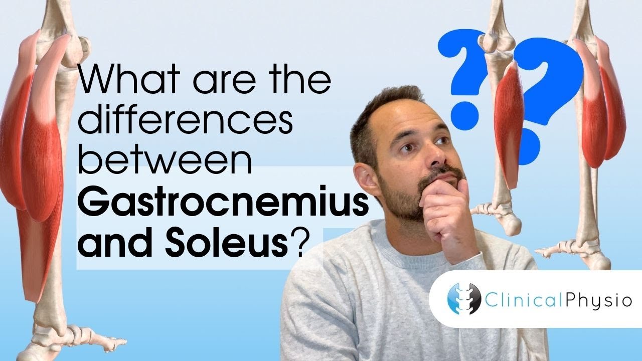 What are the Differences between Gastrocnemius & Soleus? | Expert ...