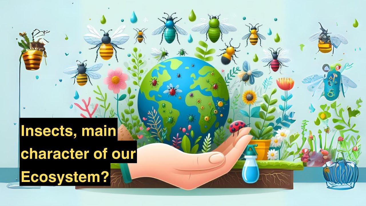 🚗 Exploring The Lives Of Insects 🐜 || Fascinating Features Of Insects 🐝 ...