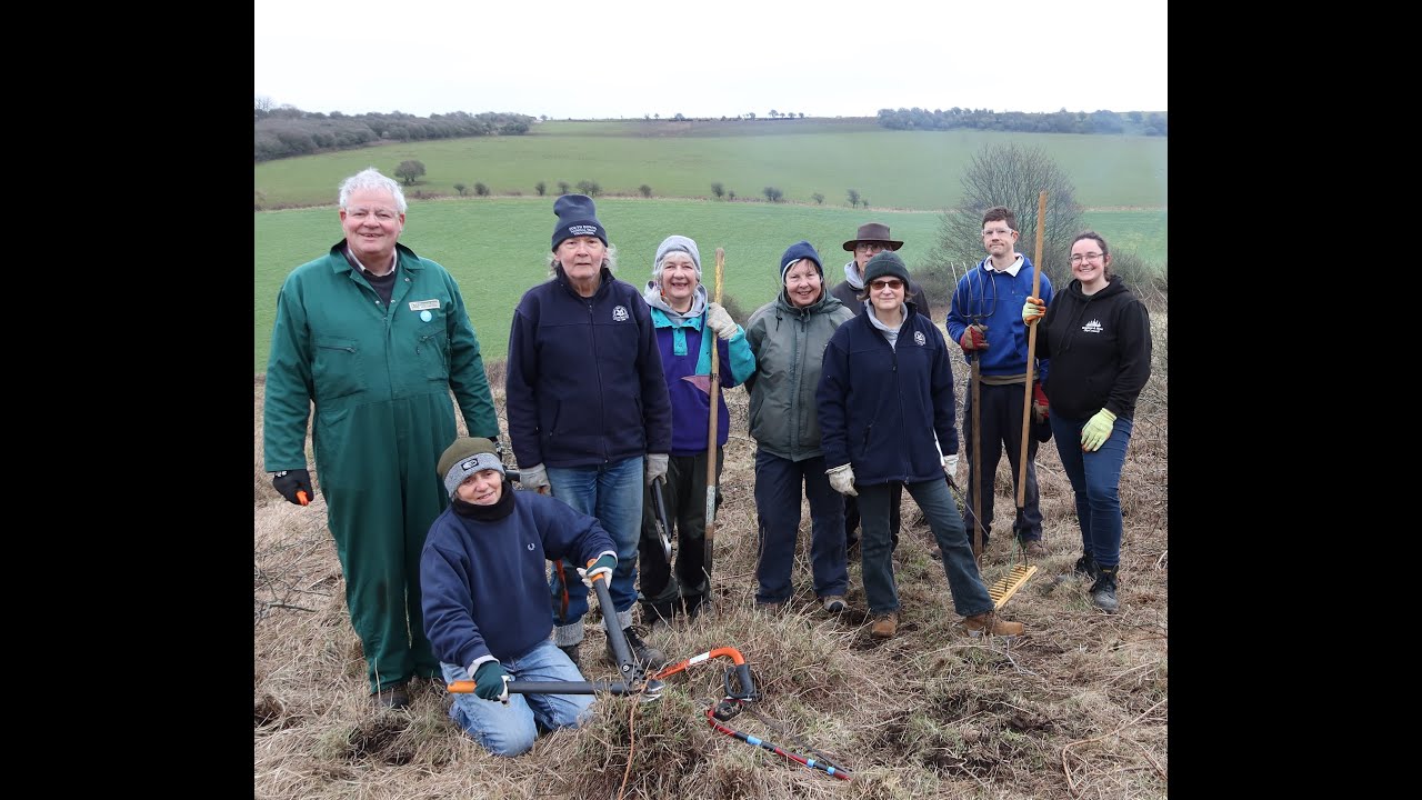 South Downs National Trust Volunteers - Waterhall Scrub bashing - YouTube