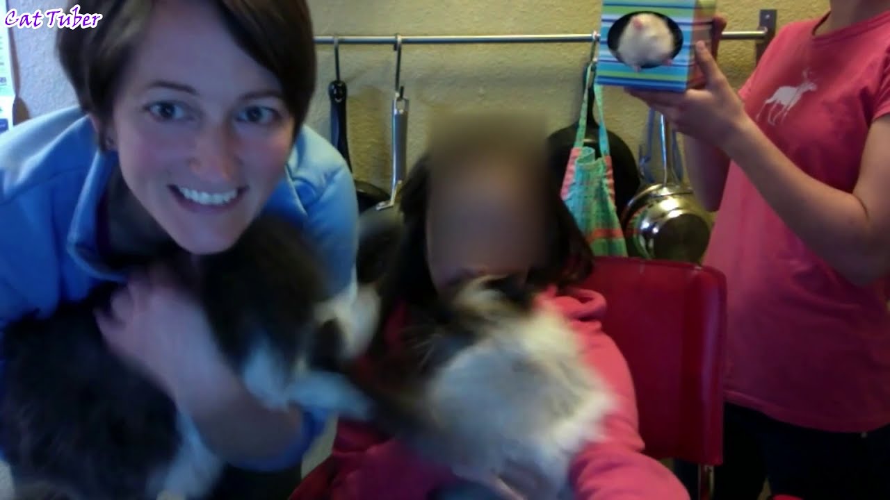 Best Stupid Fails of June 2020 - YouTube