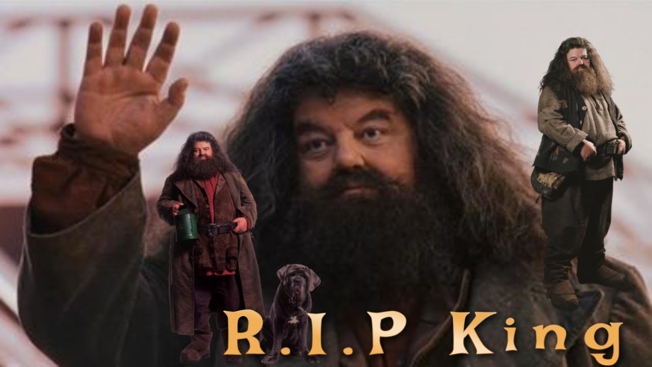 WHY WE LOVE HAGRID | A Tribute to Robbie Coltrane - YouTube
