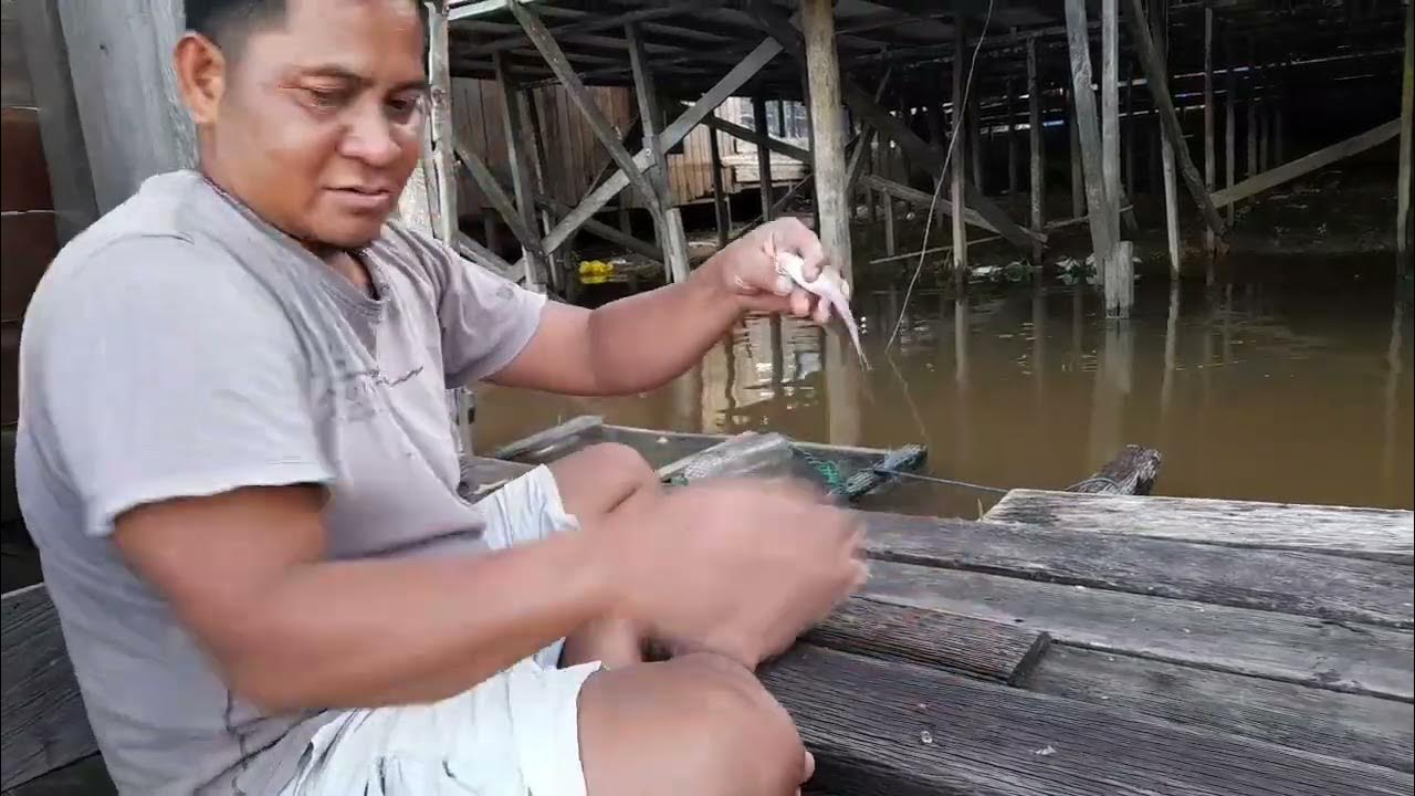 Mancing disore hari nunggu berbuka puasa dapat ikanTailan!! - YouTube