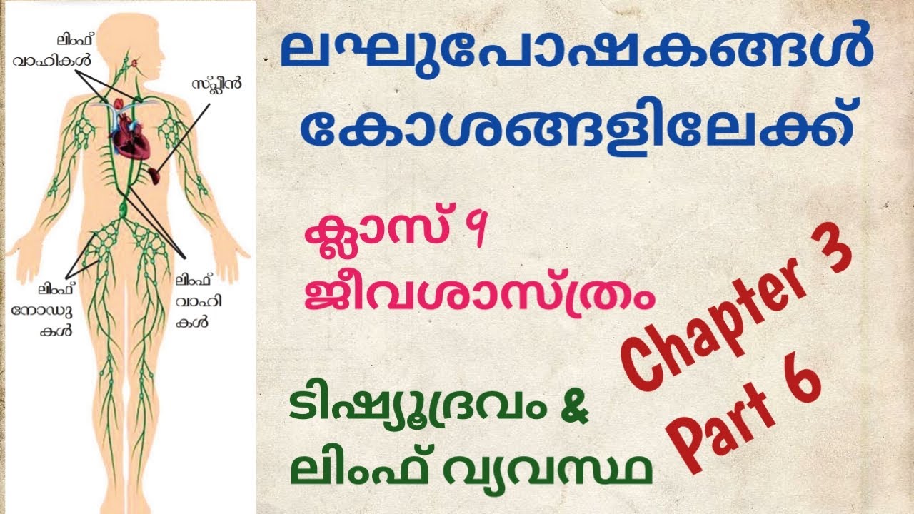 kerala-state-syllabus-9th-standard-biology-chapter-3