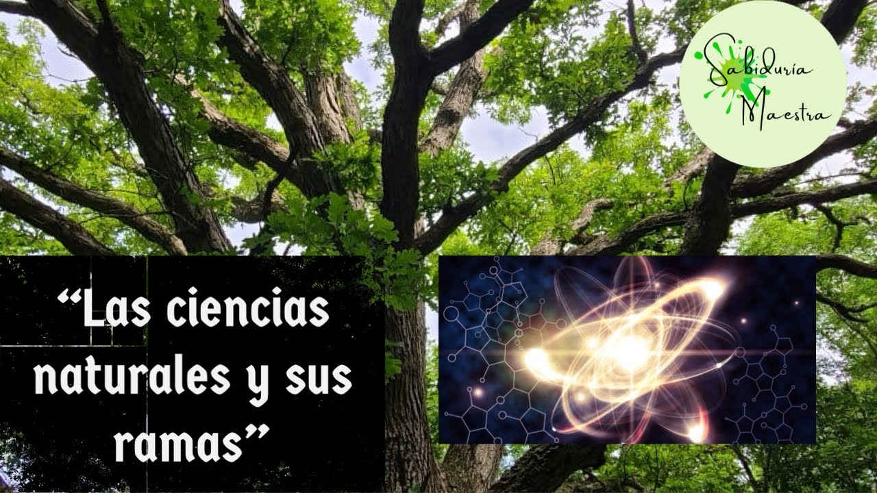 #1 Ciencias Naturales y sus ramas - YouTube