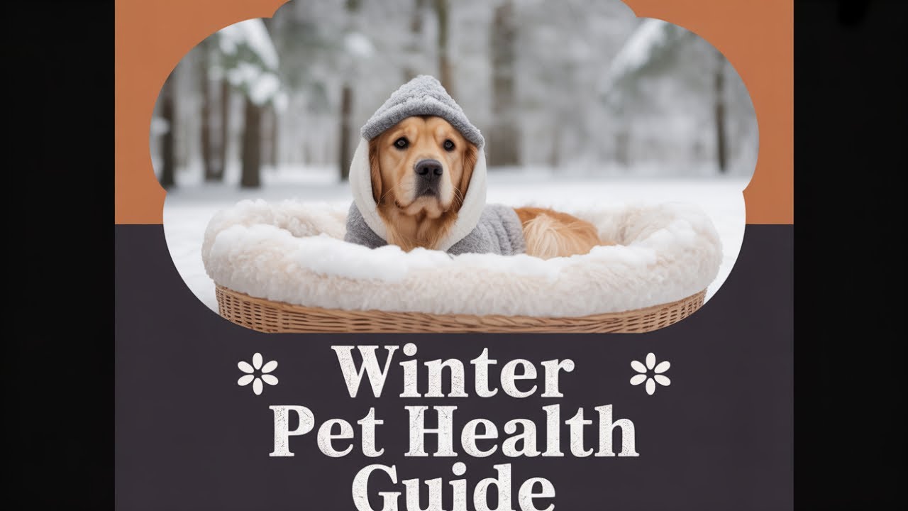 Winter Pet Health Guide: Are Your Pets Safe in the Cold? - YouTube