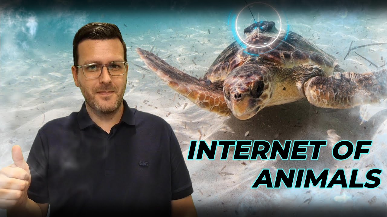 INTERNET of ANIMALS (IoA): LA EVOLUCIÓN del MONITOREO ANIMAL impulsada ...
