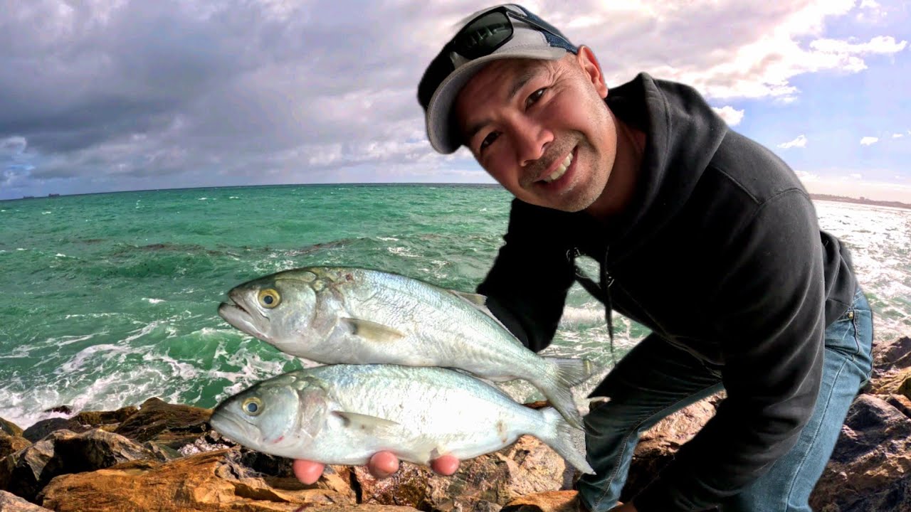 ROCKWALL Fishing - Tailor CATCH and COOK - - YouTube