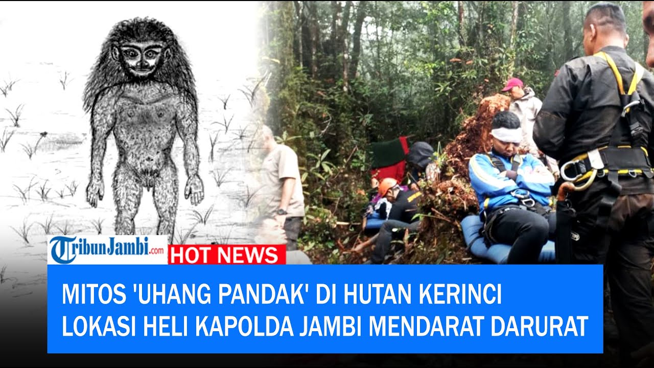 Mitos 'Uhang Pandak' di Hutan Kerinci Lokasi Heli Kapolda Jambi Mendarat Darurat - YouTube