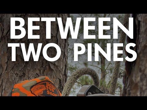 Between Two Pines Hunt-Cast | Guest Brennan Wheatley - YouTube