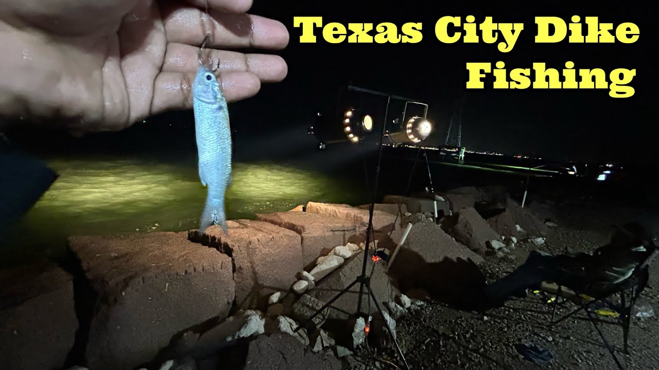 PITCHING live Finger Mullet For some a SPECKLED TORUT (Texas City Dike ...