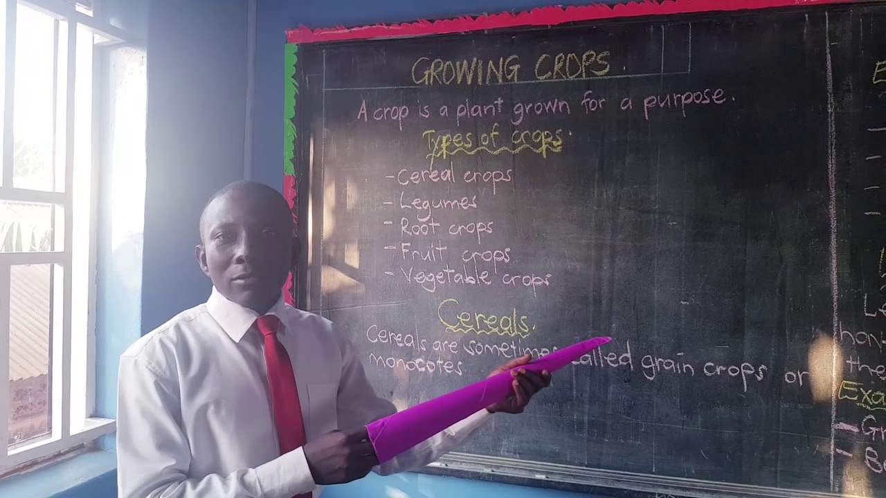 Science P 4 lesson 5 - YouTube