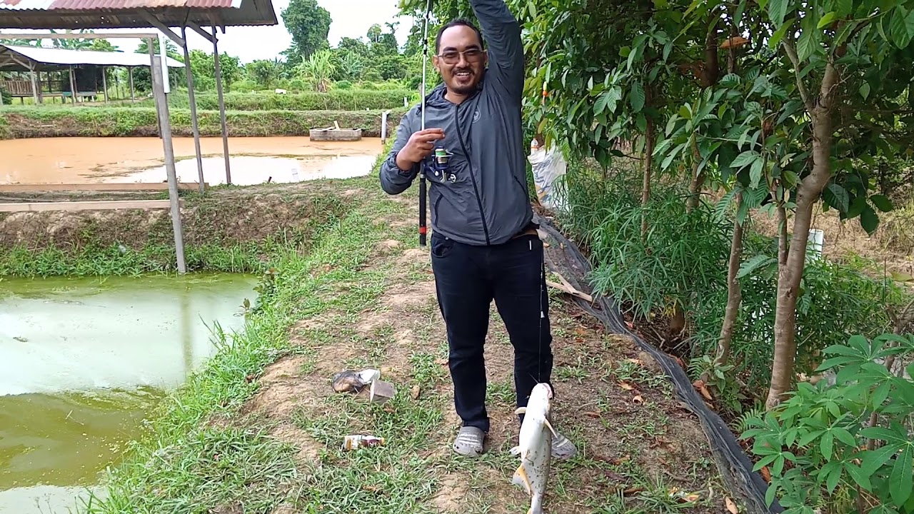 cing mancing maneh - YouTube