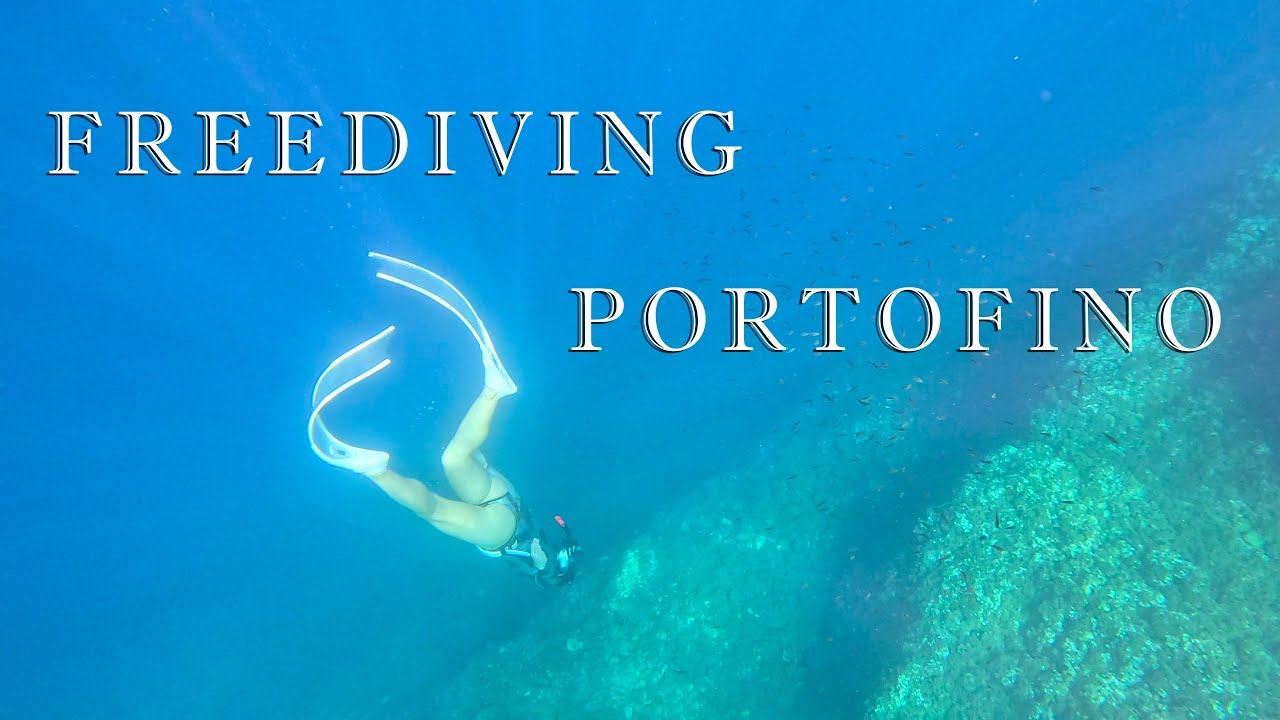 Freediving in Portofino - Italy - YouTube
