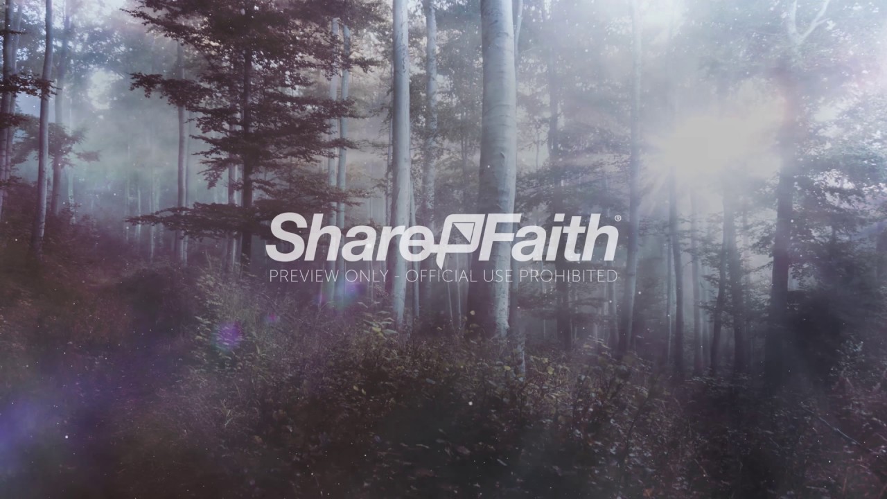 Worship Background - Misty Forest - YouTube