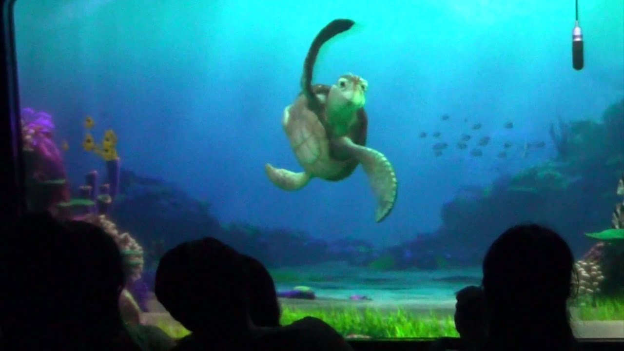 Turtle Talk with Crush - Disney California Adventure - 2015 - YouTube