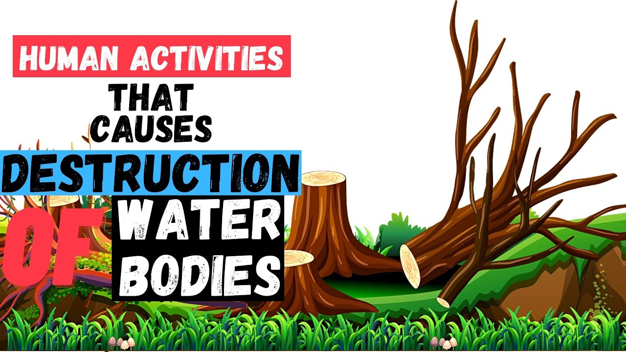 Human Activities That Causes Destruction Of Water Bodies II Sugar TV ...