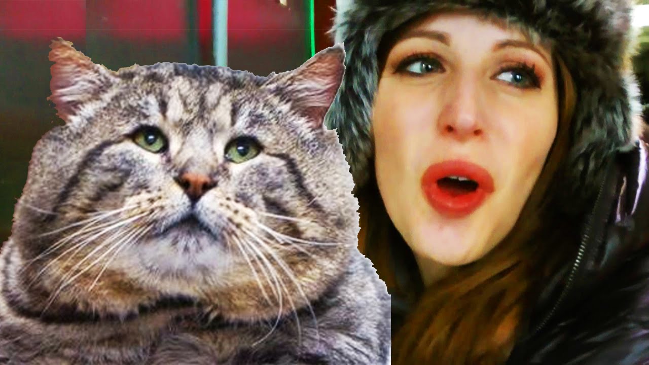 GROSSO GATTO A CHINATOWN (E LOWER EAST SIDE) VLOG - YouTube