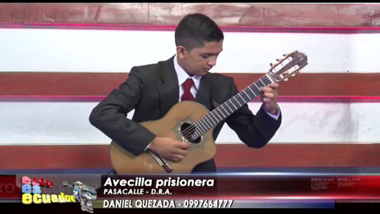Daniel Quezada - Avecilla prisionera (Pasacalle) - YouTube
